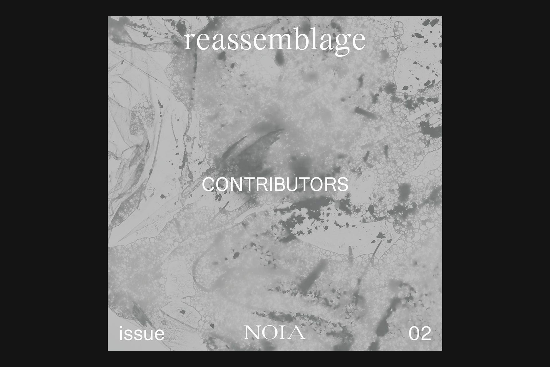 Noia magazine announces upcoming issue two - Overleaf