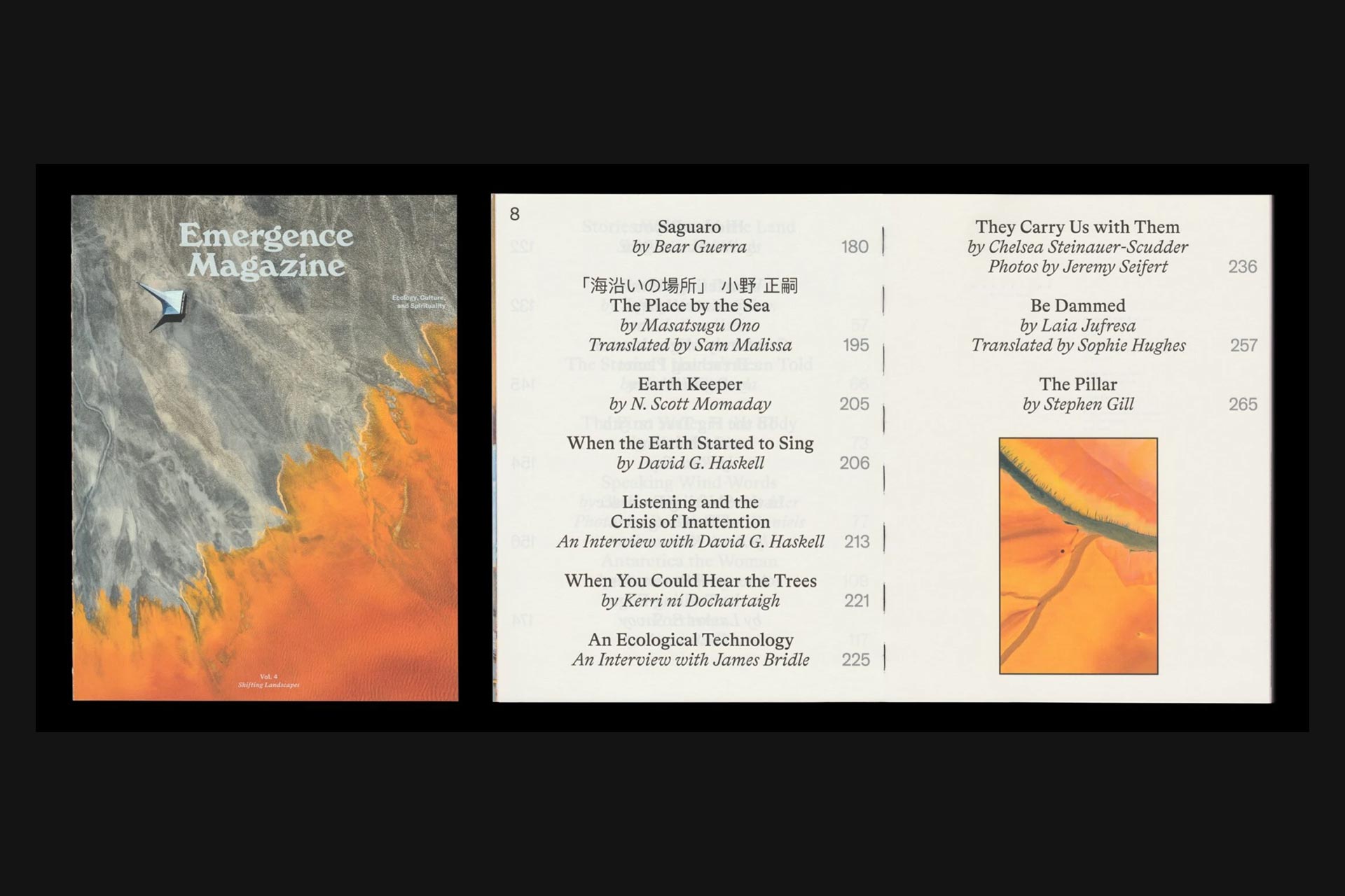 Emergence Magazine hosting Shifting Landscapes exhibition this December ...