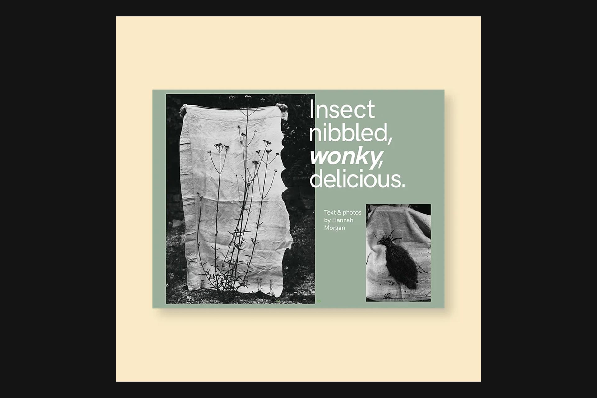 Finger Food magazine creates a home for food and design to thrive ...