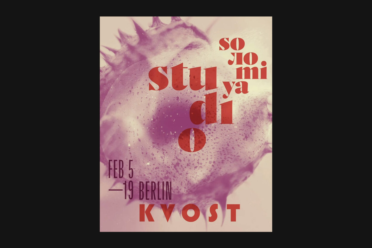 Solomiya magazine announces new Berlin festival Solomiya Studio - Overleaf